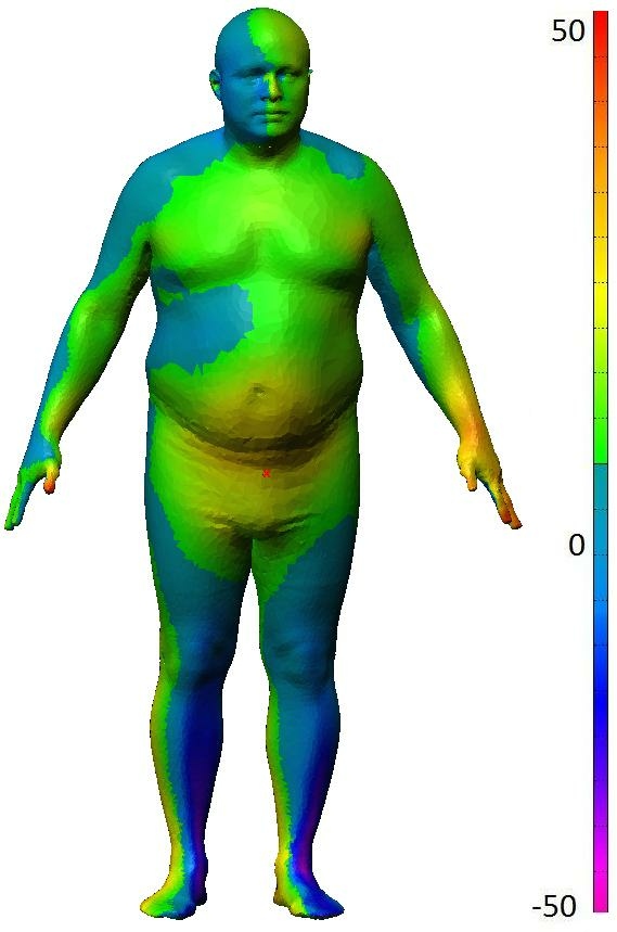 Estimating 3D Human Shapes from Measurements | DeepAI