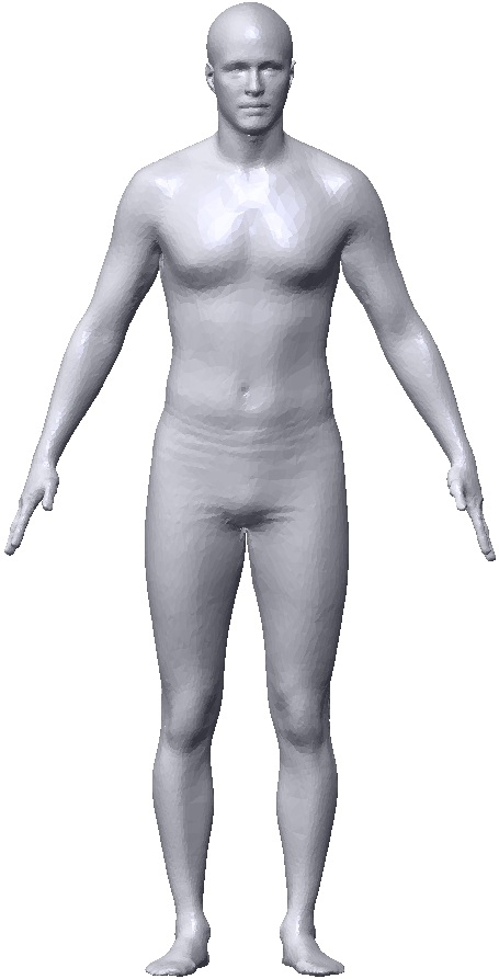 Estimating 3D Human Shapes from Measurements | DeepAI