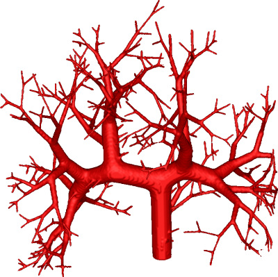 Pulmonary Vascular Tree Segmentation from Contrast-Enhanced CT Images ...