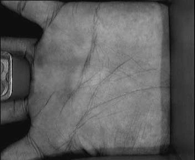 Multispectral Palmprint Encoding And Recognition Deepai 