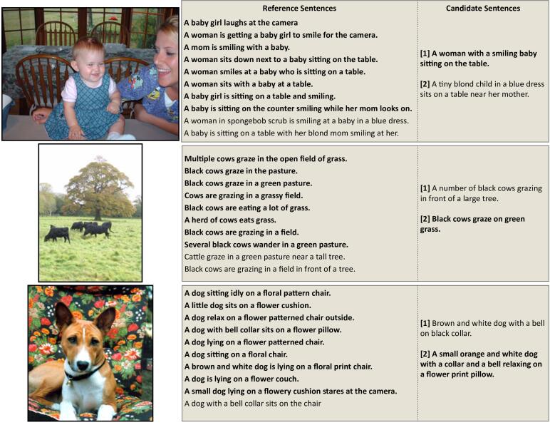 CIDEr: Consensus-based Image Description Evaluation | DeepAI