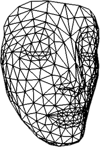 Conformal Surface Morphing with Applications on Facial Expressions | DeepAI