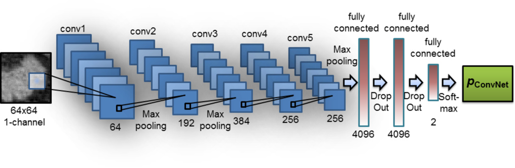 Deep convolutional networks for pancreas segmentation in CT imaging ...