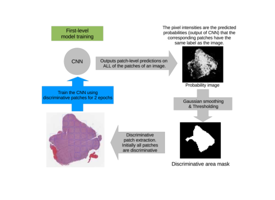 Patch-based Convolutional Neural Network for Whole Slide Tissue Image Classification | DeepAI