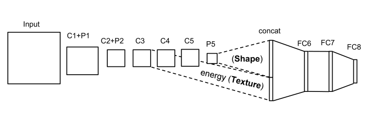 Using Filter Banks in Convolutional Neural Networks for Texture Classification | DeepAI