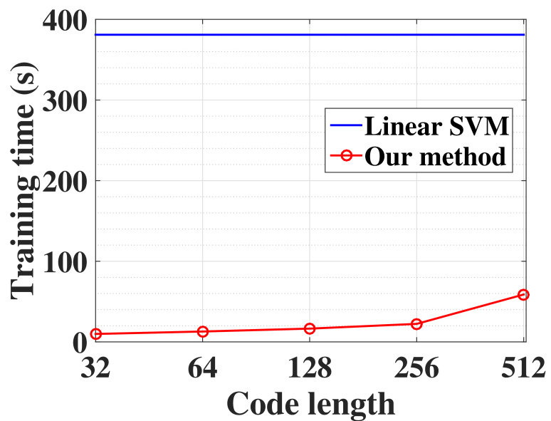 Learning Binary Codes and Binary Weights for Efficient Classification | DeepAI