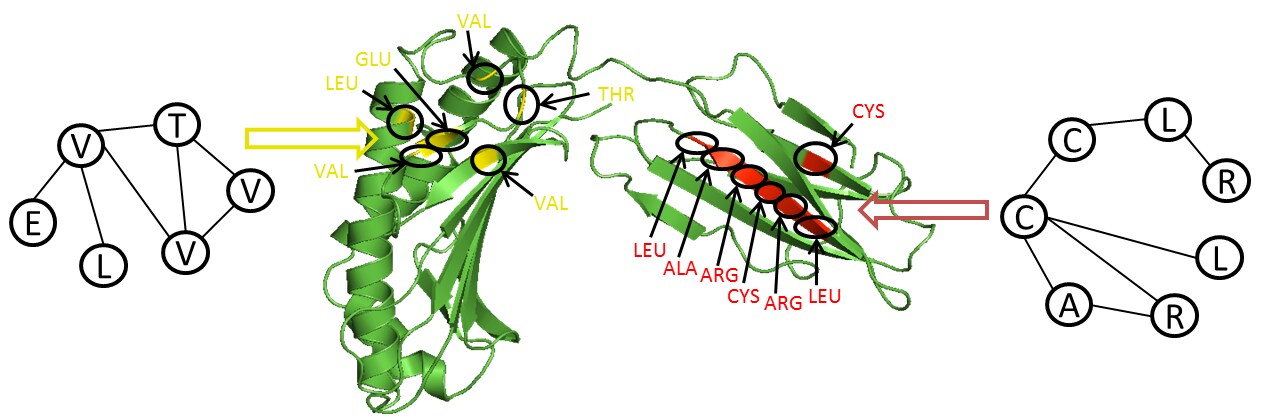 PGR: A Graph Repository of Protein 3D-Structures | DeepAI