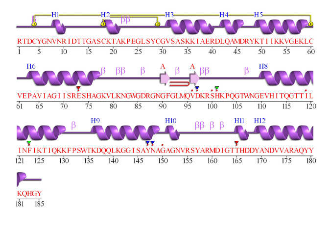 Protein Secondary Structure Prediction Using Cascaded Convolutional And