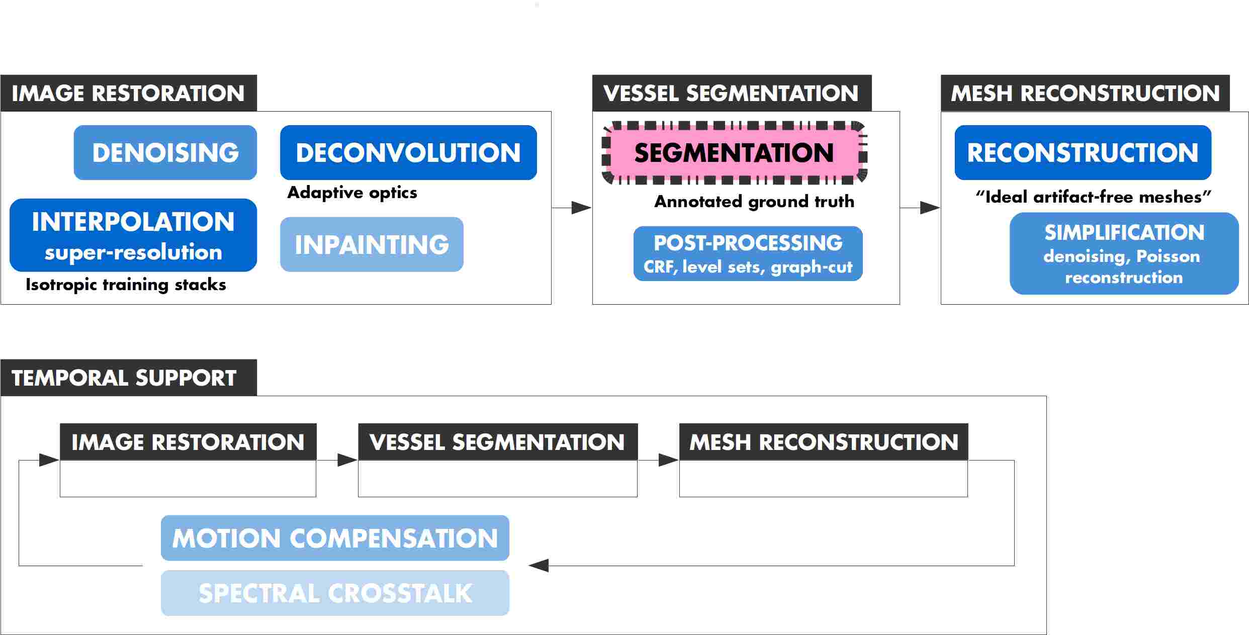 Deep Learning Convolutional Networks For Multiphoton Microscopy