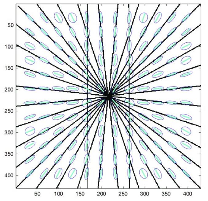 A neuro-mathematical model for geometrical optical illusions | DeepAI