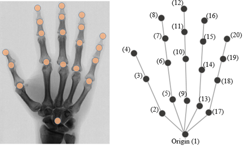 Multivariate Regression with Grossly Corrupted Observations: A Robust ...