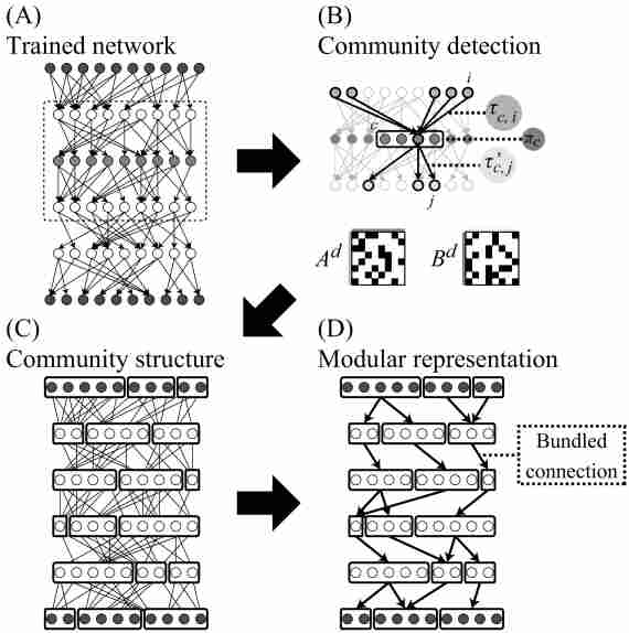 Modular Representation of Layered Neural Networks | DeepAI