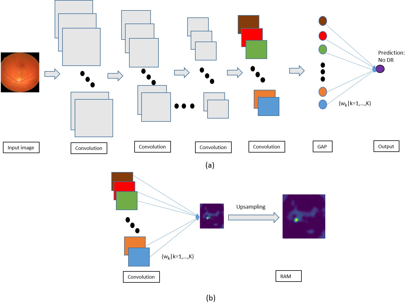 Diabetic Retinopathy Detection via Deep Convolutional Networks for ...