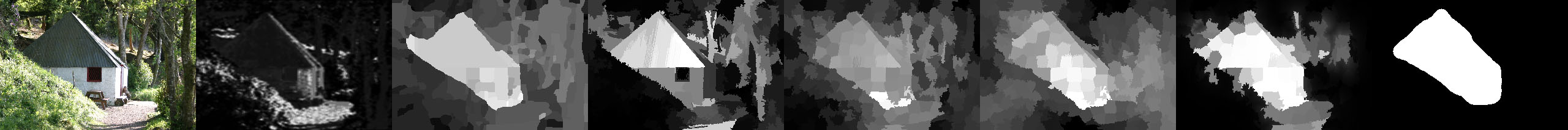 Co Salient Object Detection Based On Deep Saliency Networks And Seed