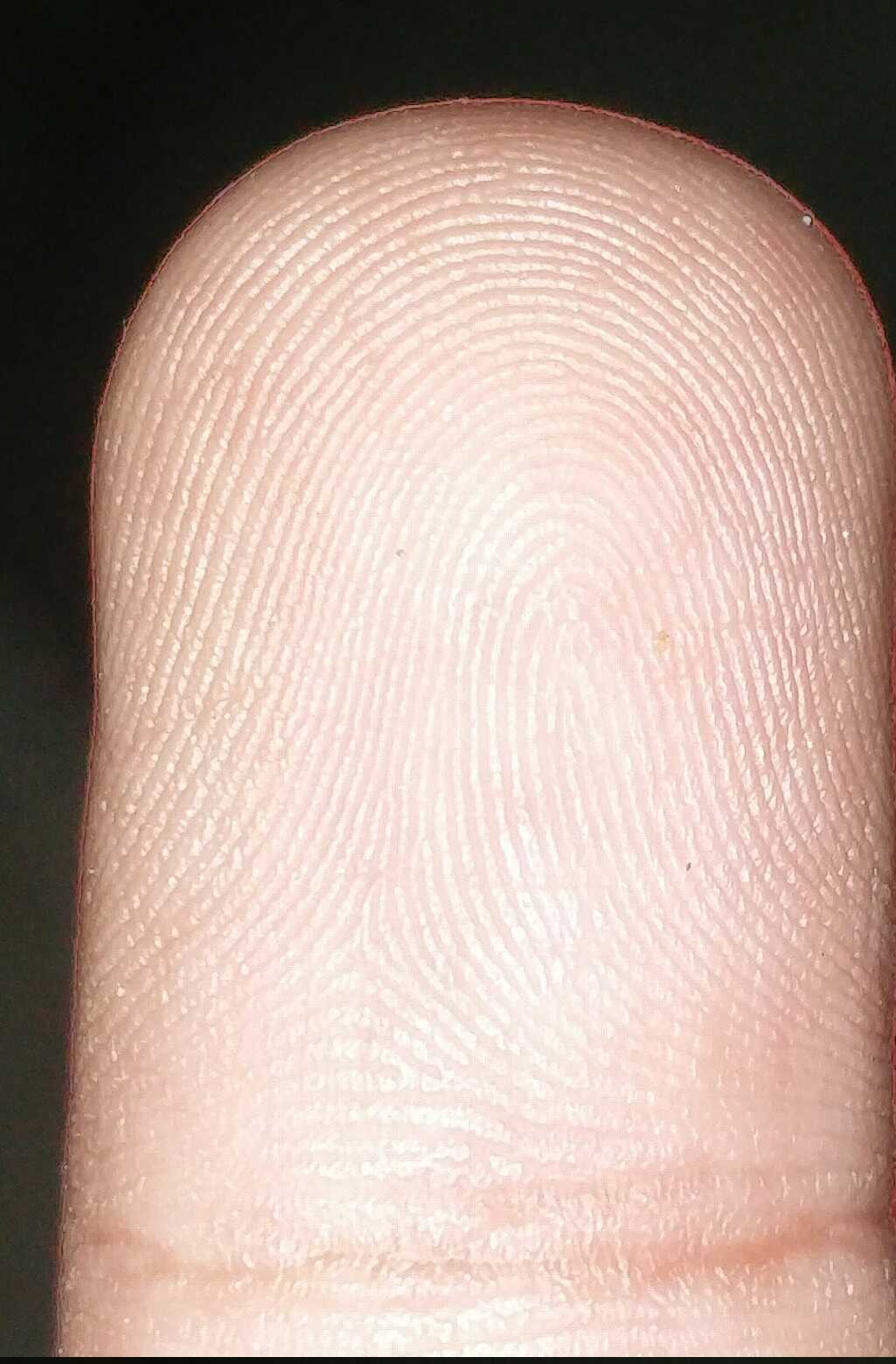 Fingerprint Extraction Using Smartphone Camera | DeepAI