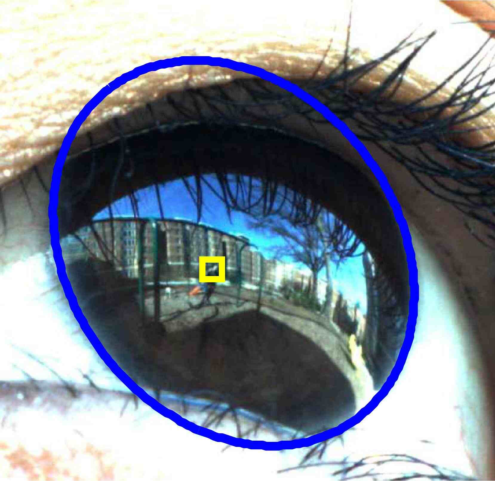 Noninvasive Corneal Image-Based Gaze Measurement System | DeepAI