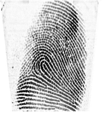 RaspiReader: An Open Source Fingerprint Reader Facilitating Spoof Detection | DeepAI