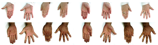 Gender recognition and biometric identification using a large dataset ...