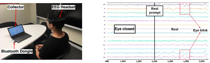 MindID: Person Identification from Brain Waves through Attention-based ...
