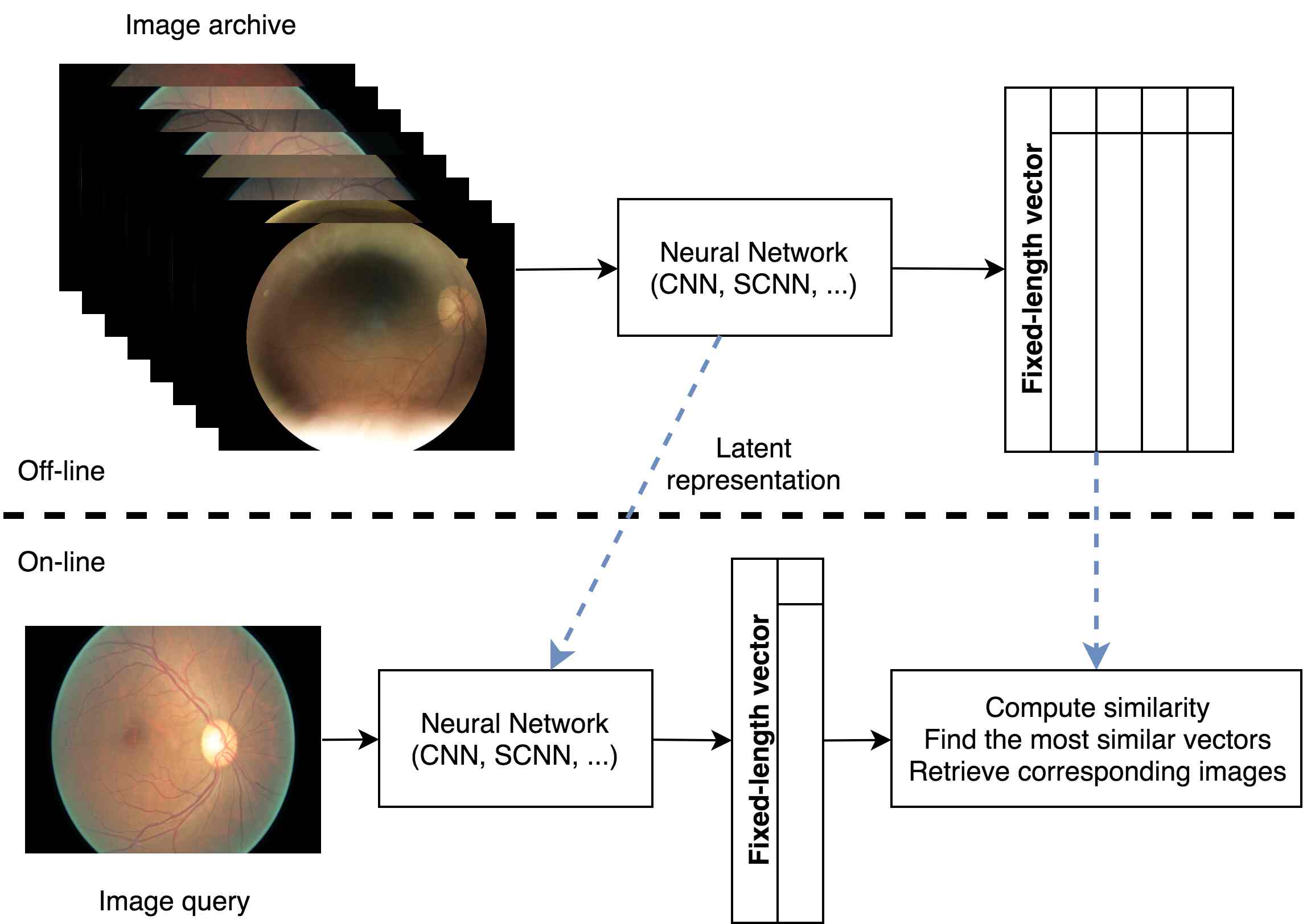 Learning Deep Representations of Medical Images using Siamese CNNs with ...