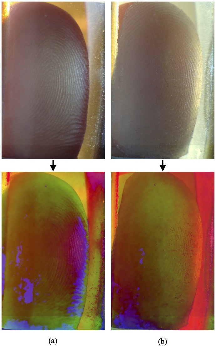 RaspiReader: Open Source Fingerprint Reader | DeepAI