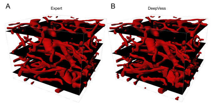 Deep Convolutional Neural Networks For Segmenting 3d In Vivo