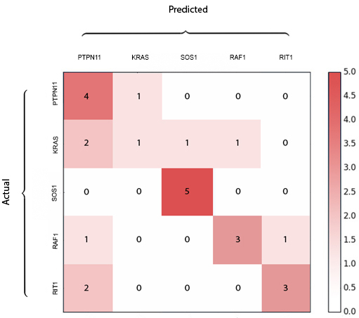 DeepGestalt - Identifying Rare Genetic Syndromes Using Deep Learning ...