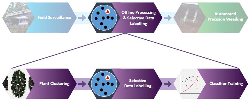 A Rapidly Deployable Classification System Using Visual Data For The Application Of Precision