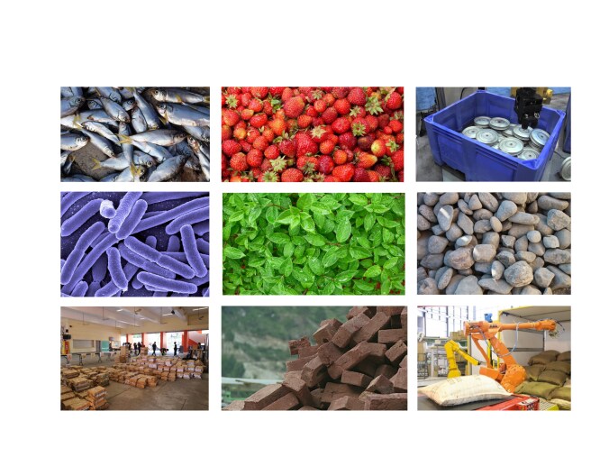 Annotation-Free and One-Shot Learning for Instance Segmentation of ...