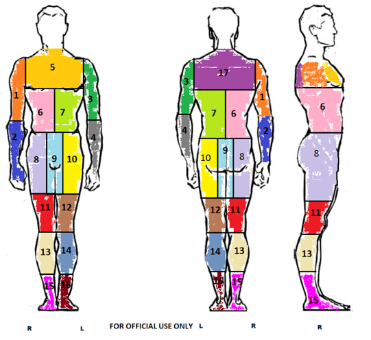 Detecting Zones and Threat on 3D Body for Security in Airports using ...