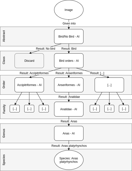 Automated dataset generation for image recognition using the example of taxonomy | DeepAI
