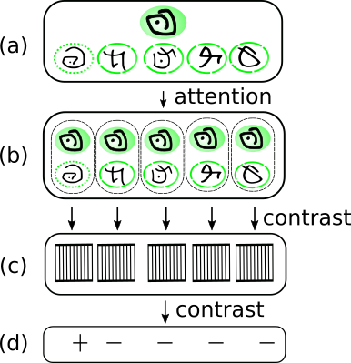 Local Contrast Learning | DeepAI