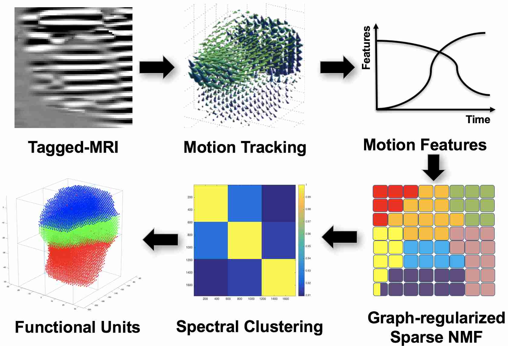 A Sparse Non Negative Matrix Factorization Framework For Identifying Functional Units Of Tongue
