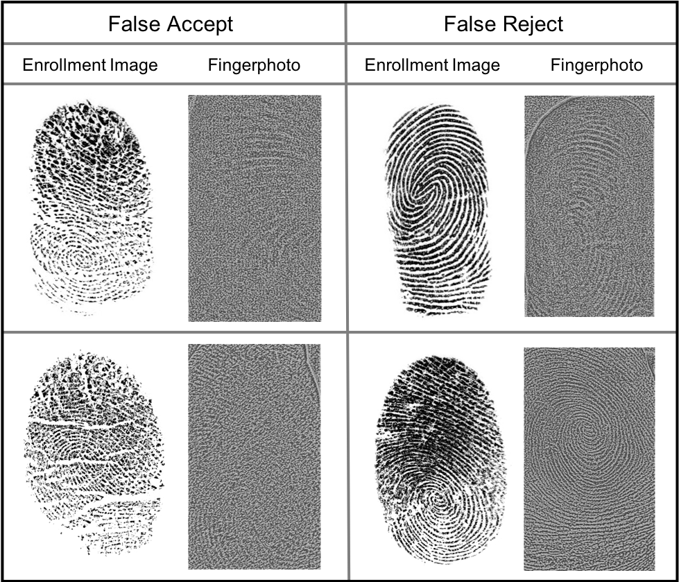 Matching Fingerphotos to Slap Fingerprint Images | DeepAI