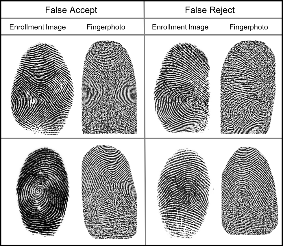 Matching Fingerphotos to Slap Fingerprint Images | DeepAI