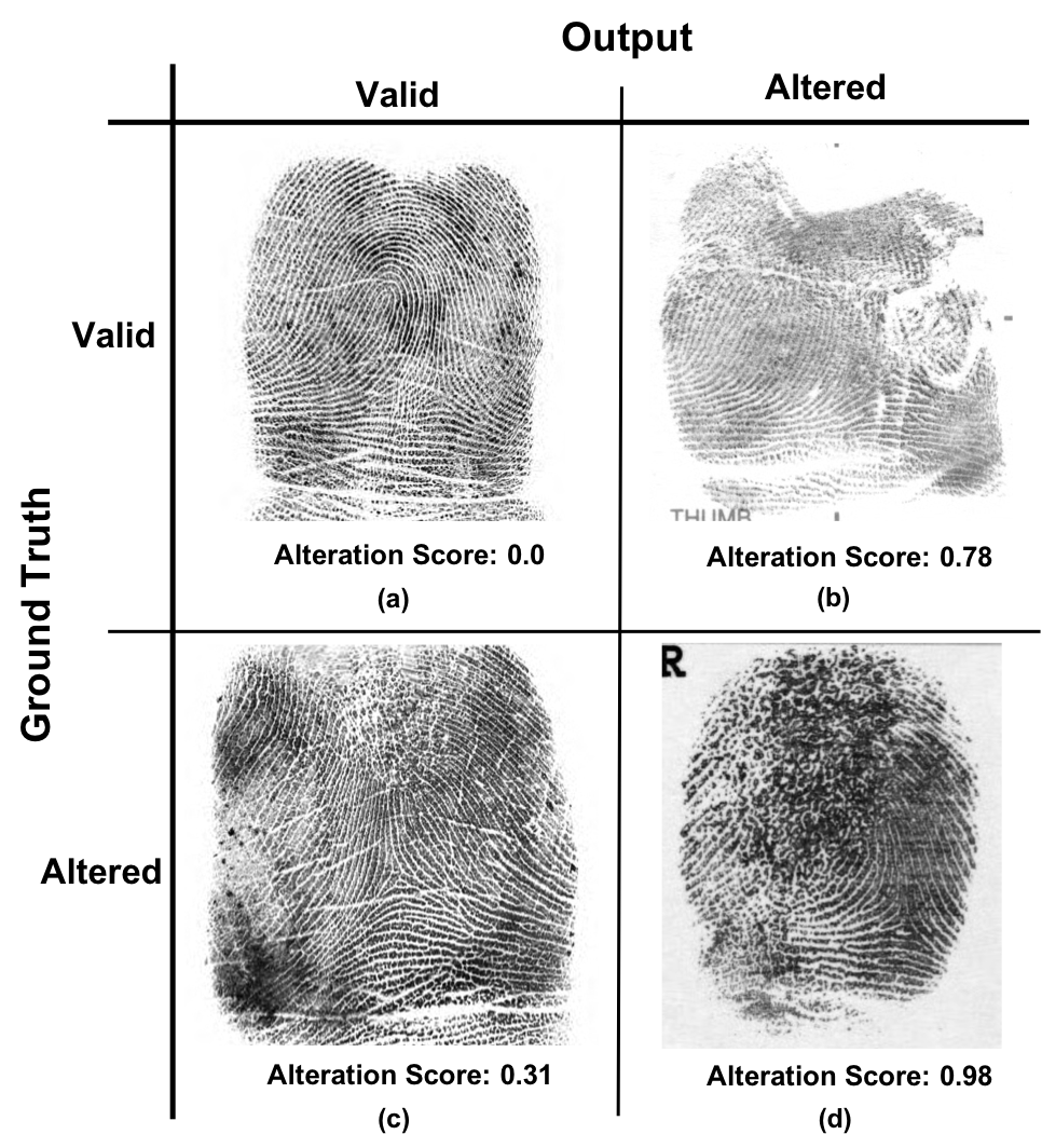 Altered Fingerprints Detection And Localization Deepai