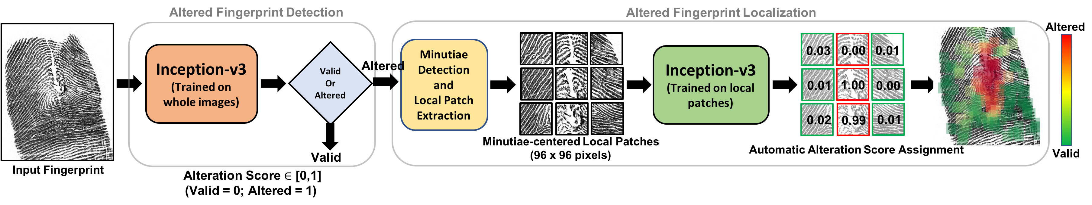 Altered Fingerprints: Detection and Localization | DeepAI