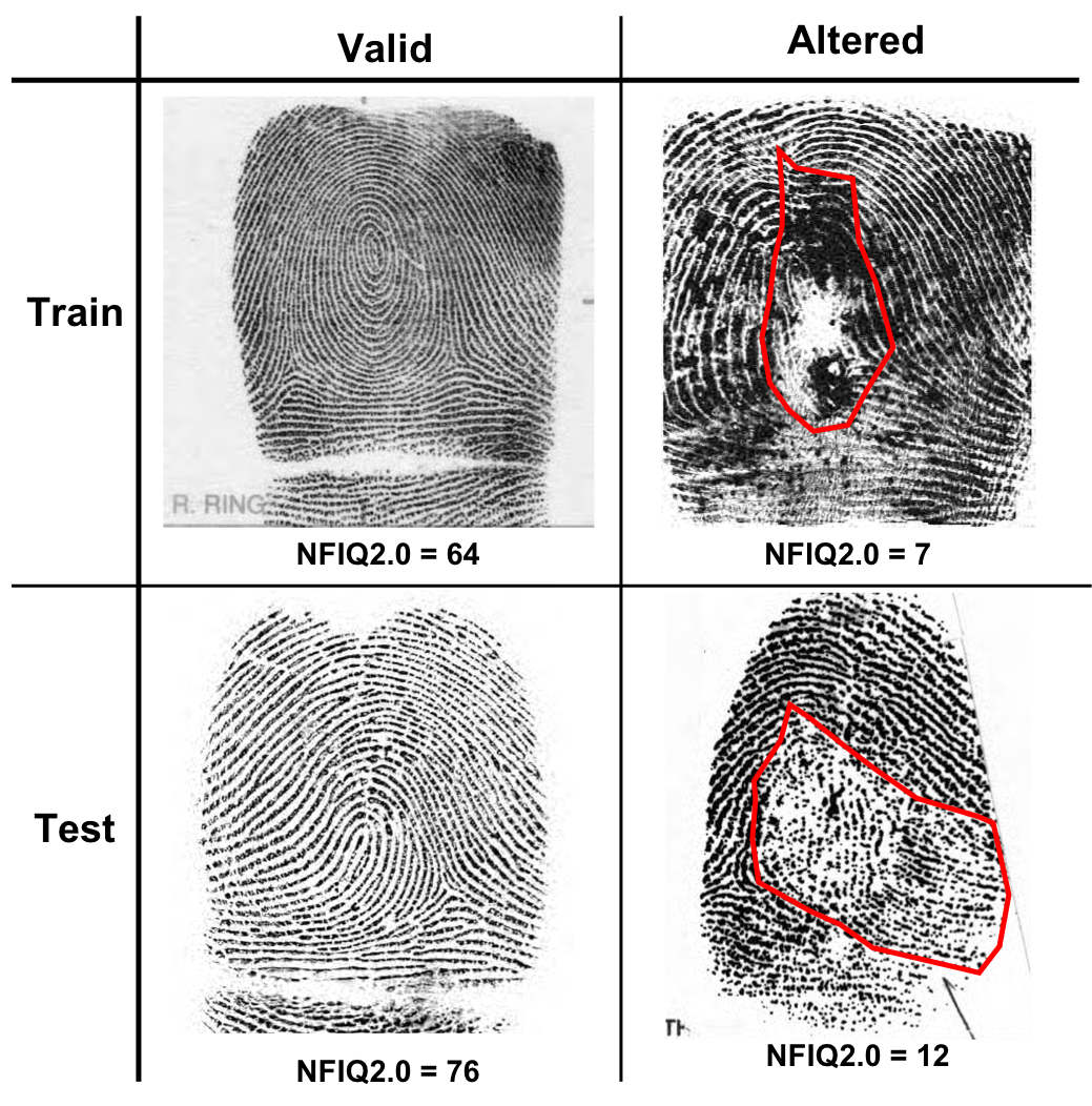 Altered Fingerprints: Detection and Localization | DeepAI