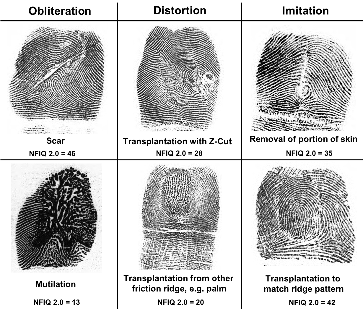 Altered Fingerprints: Detection and Localization | DeepAI
