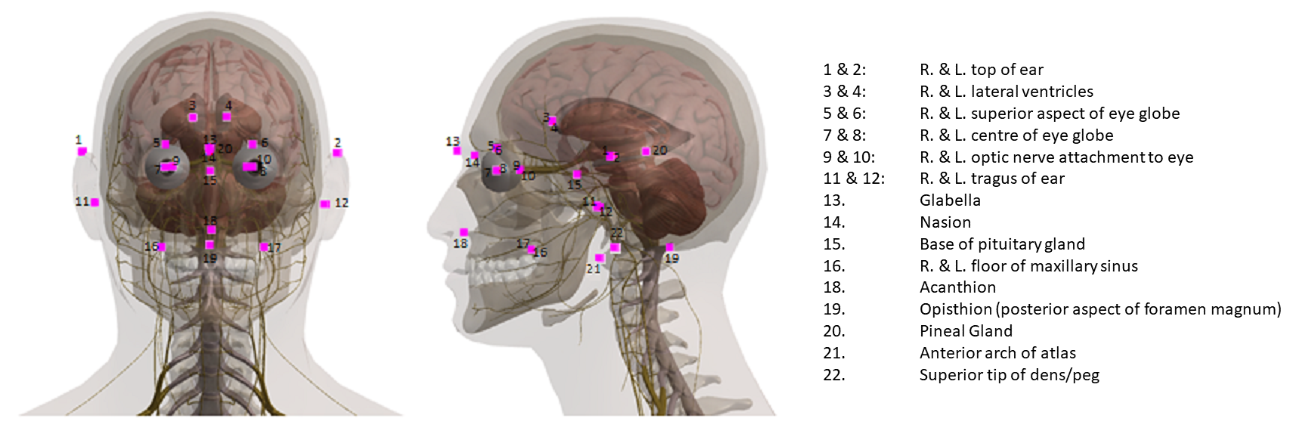 Attaining human-level performance for anatomical landmark detection in ...