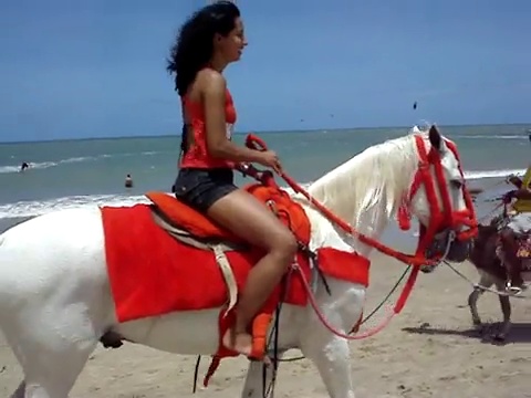 Amortized Context Vector Inference for Sequence-to-Sequence Networks | DeepAI