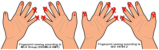 An Evaluation of Score Level Fusion Approaches for Fingerprint and ...