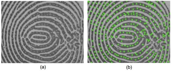 Fusion of Methods Based on Minutiae, Ridges and Pores for Robust ...