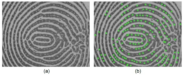 Fusion of Methods Based on Minutiae, Ridges and Pores for Robust ...