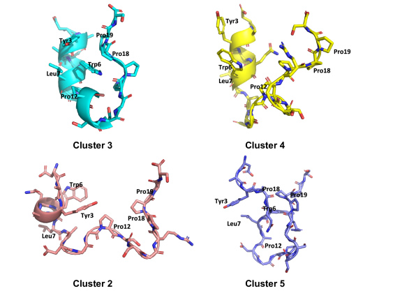 Conformation Clustering of Long MD Protein Dynamics with an Adversarial ...