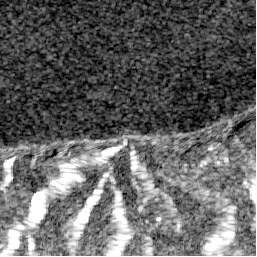 The SEN1-2 Dataset for Deep Learning in SAR-Optical Data Fusion | DeepAI