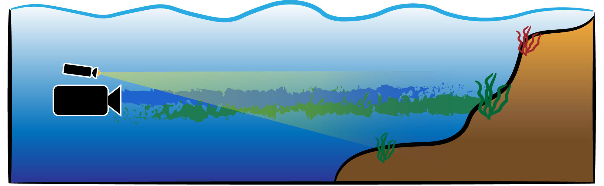 Underwater Image Haze Removal and Color Correction with an Underwater ...