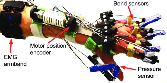 Multimodal Sensing and Interaction for a Robotic Hand Orthosis | DeepAI