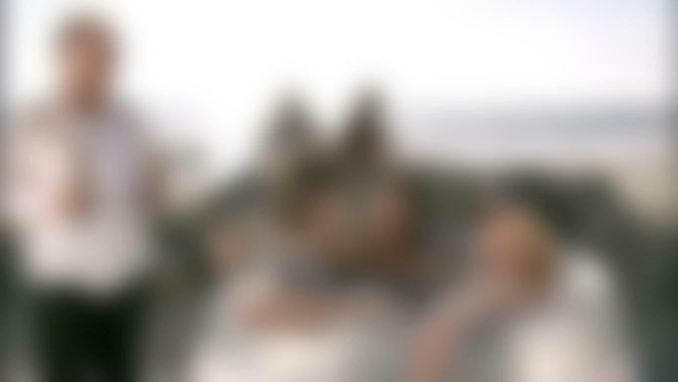 Looking Beyond a Clever Narrative: Visual Context and Attention are ...