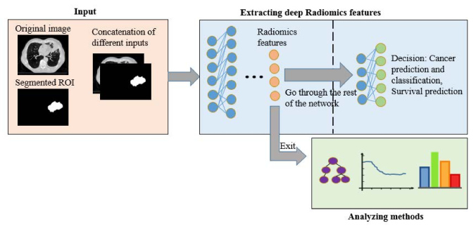 From Hand-Crafted to Deep Learning-based Cancer Radiomics: Challenges ...